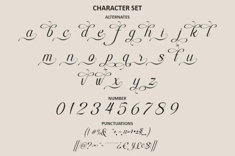 Rapiola - Elegant Script Font